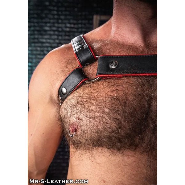 Mr.S Leather Crossbow Chest Harness 2024 | Red – UberKinky